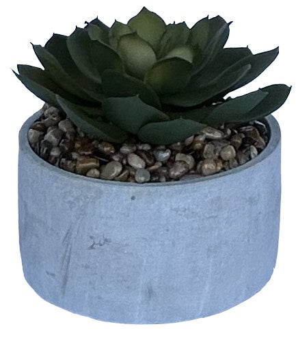 Round Agave - Grey – Casualife Outdoor Living